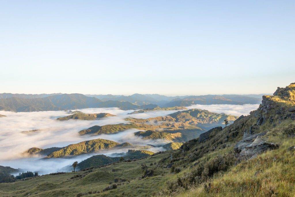 HIKING BELL ROCK, NEW ZEALAND: A GUIDE - I AM CASEY LEE