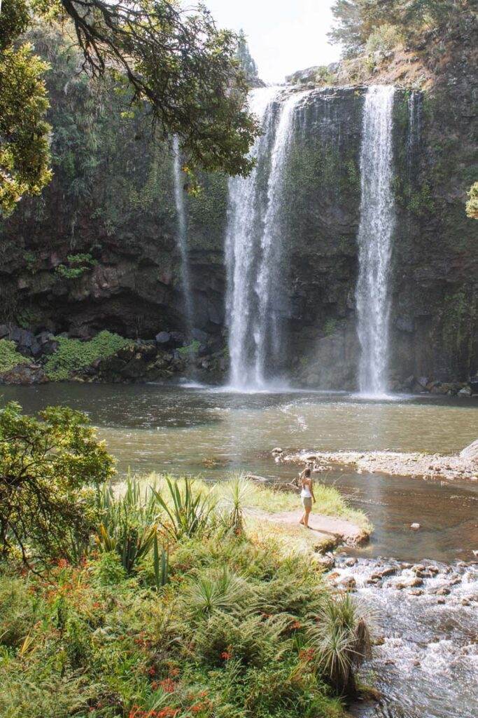 Whāngarei Falls: Northland’s Easy Waterfall Win: A Guide - I AM CASEY LEE