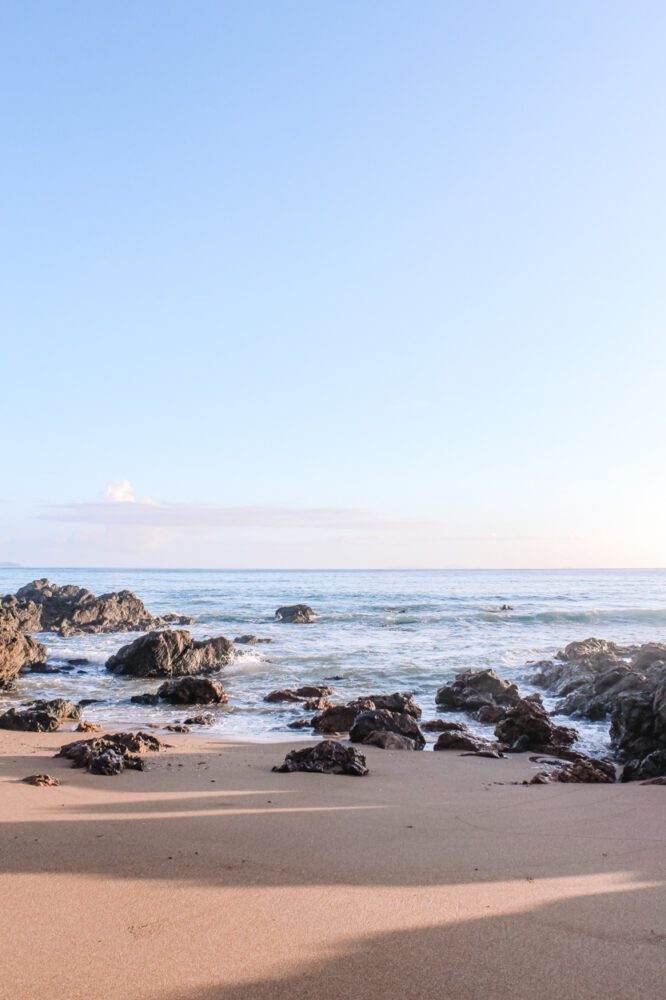 PATAUA SOUTH – AN UNTOUCHED GEM IN WHANGAREI HEADS - I AM CASEY LEE