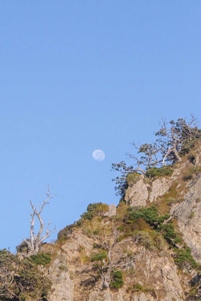 PATAUA SOUTH – AN UNTOUCHED GEM IN WHANGAREI HEADS - I AM CASEY LEE