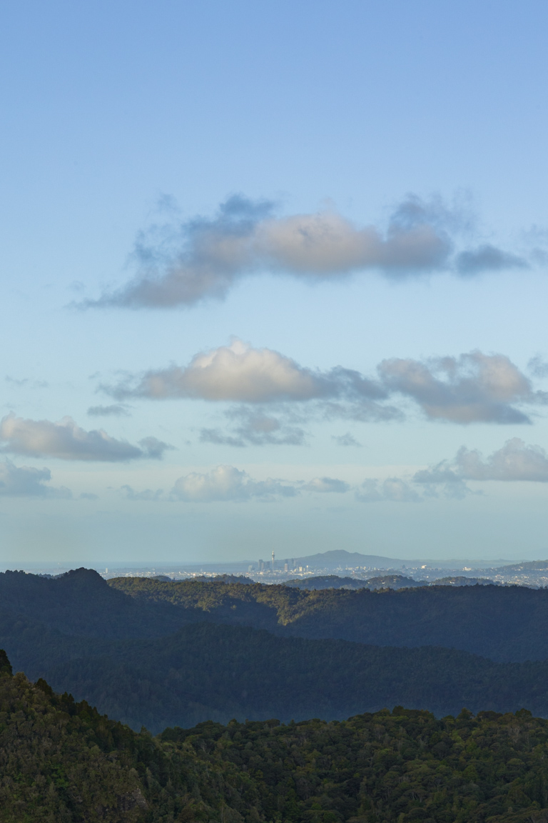 Hiking Karamatura to Mount Donald McLean: One of Auckland’s Best-Kept ...