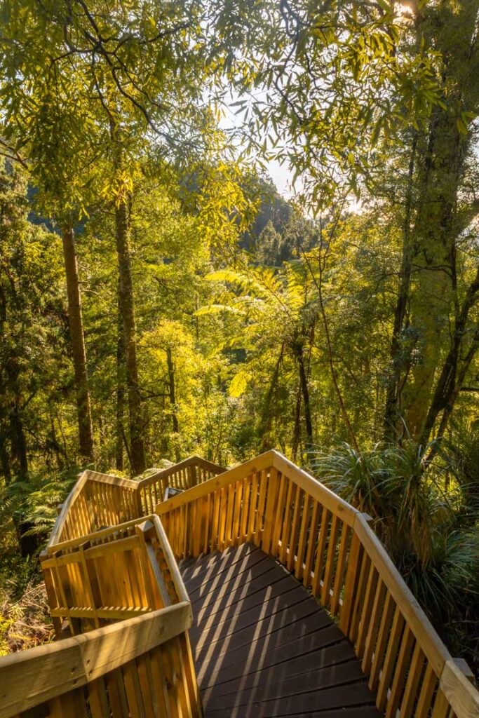 Why the Fairy Falls Walk Is Auckland’s Best Quick Hike - I AM CASEY LEE