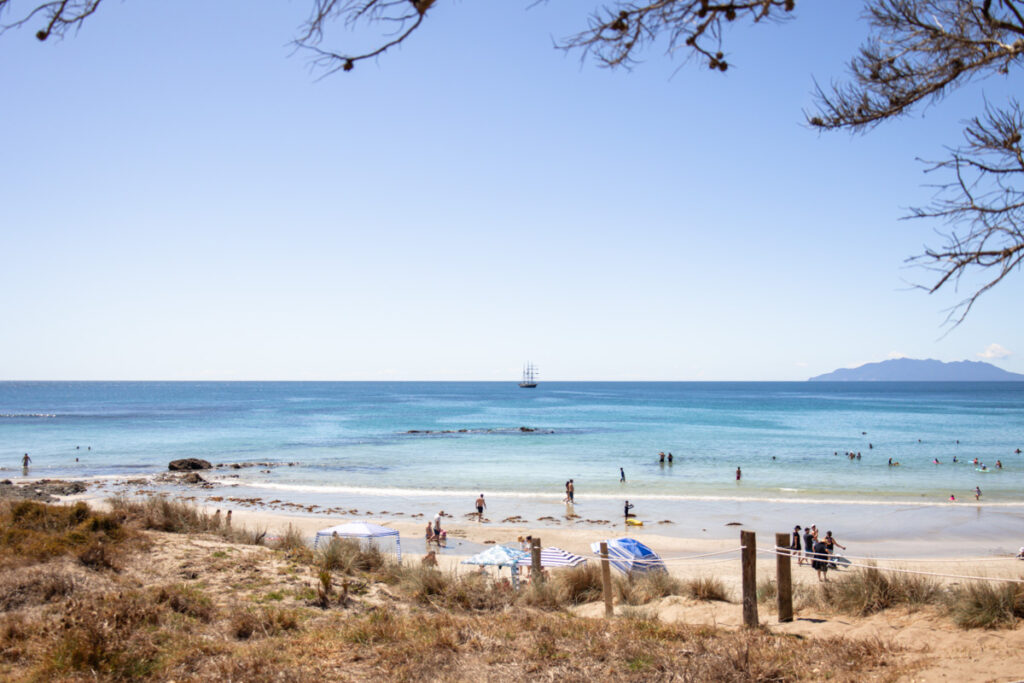 18 Unmissable New Zealand Summer Bucket List Experiences - I AM CASEY LEE