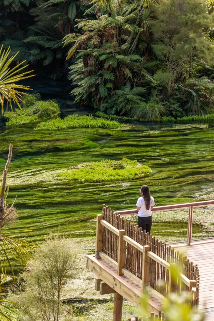 Best Time of Year to Visit New Zealand & What to Expect in Each Season ...