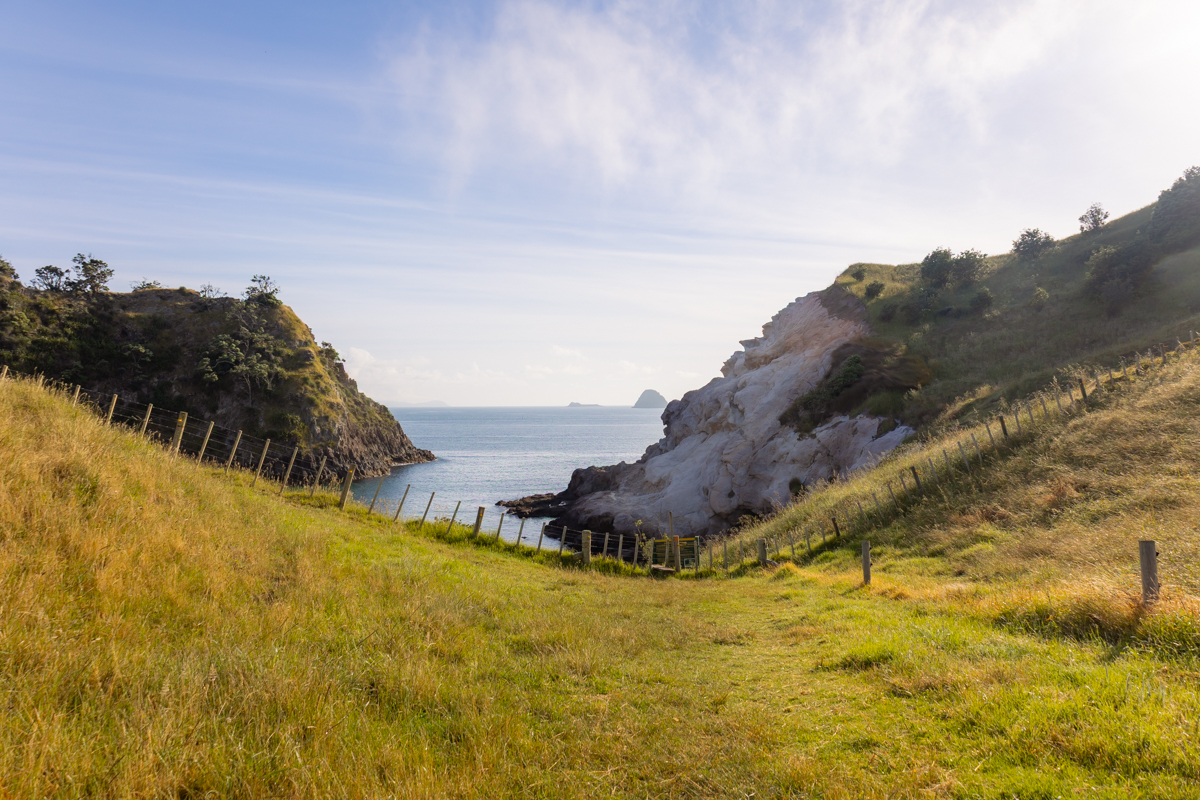 Crayfish Bay: A Hidden Gem in the Coromandel - I AM CASEY LEE