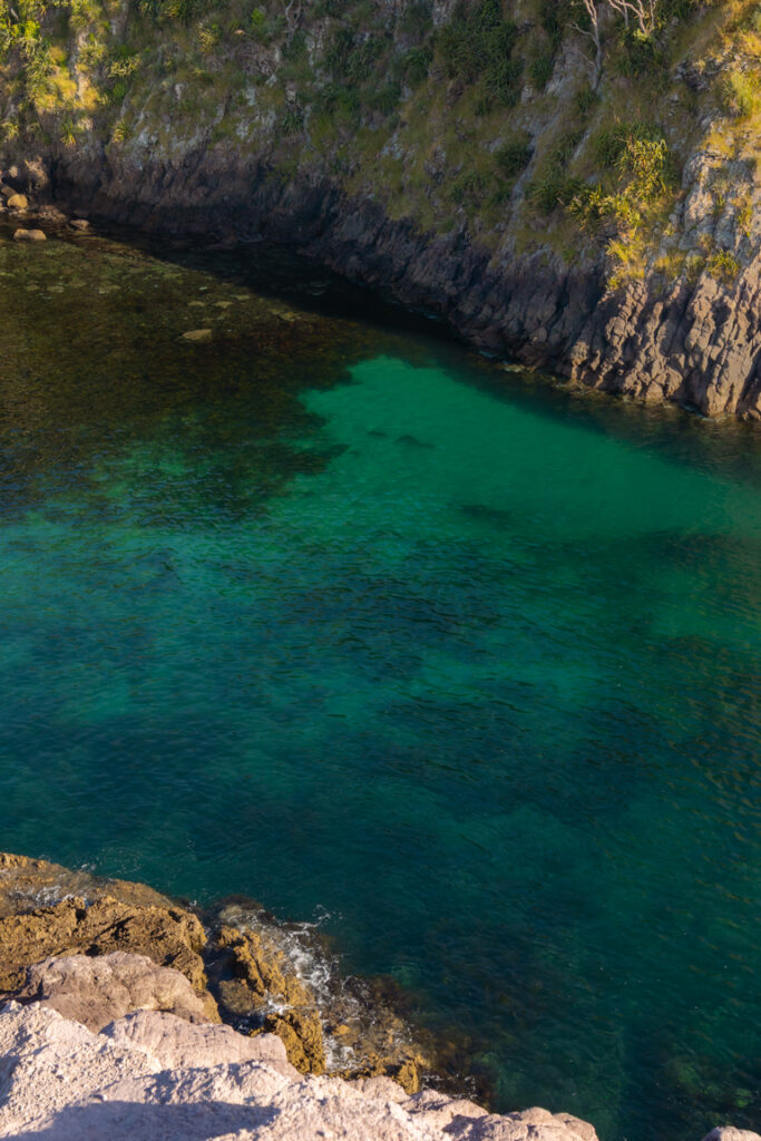 Crayfish Bay: A Hidden Gem in the Coromandel - I AM CASEY LEE