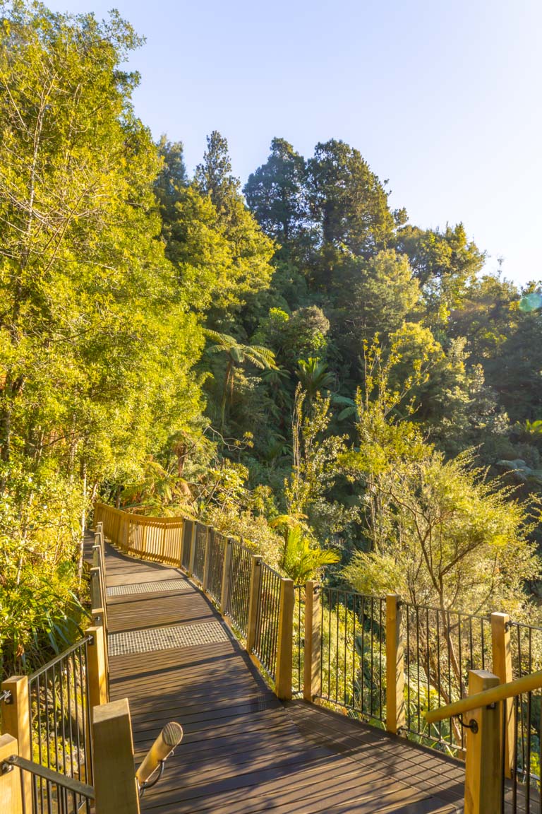 Why the Fairy Falls Walk Is Auckland’s Best Quick Hike - I AM CASEY LEE