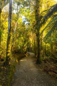 Why the Fairy Falls Walk Is Auckland’s Best Quick Hike - I AM CASEY LEE