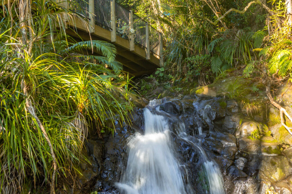 Why the Fairy Falls Walk Is Auckland’s Best Quick Hike - I AM CASEY LEE