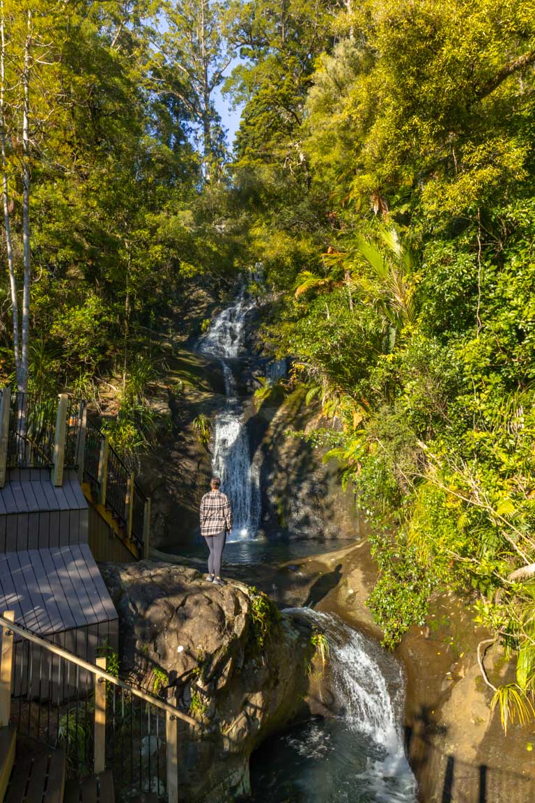 Why the Fairy Falls Walk Is Auckland’s Best Quick Hike - I AM CASEY LEE