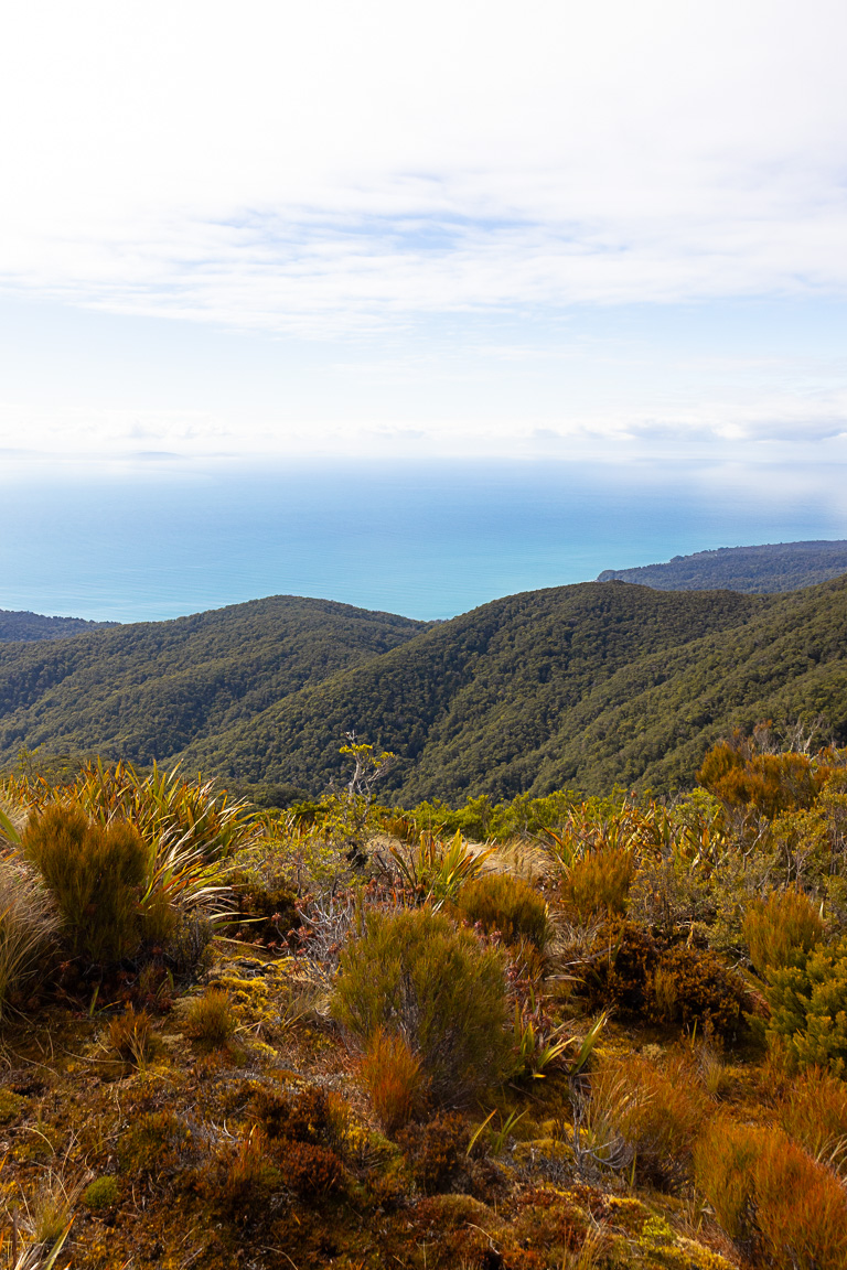 Hiking the Hump Ridge Track: Everything You Need to Know - I AM CASEY LEE