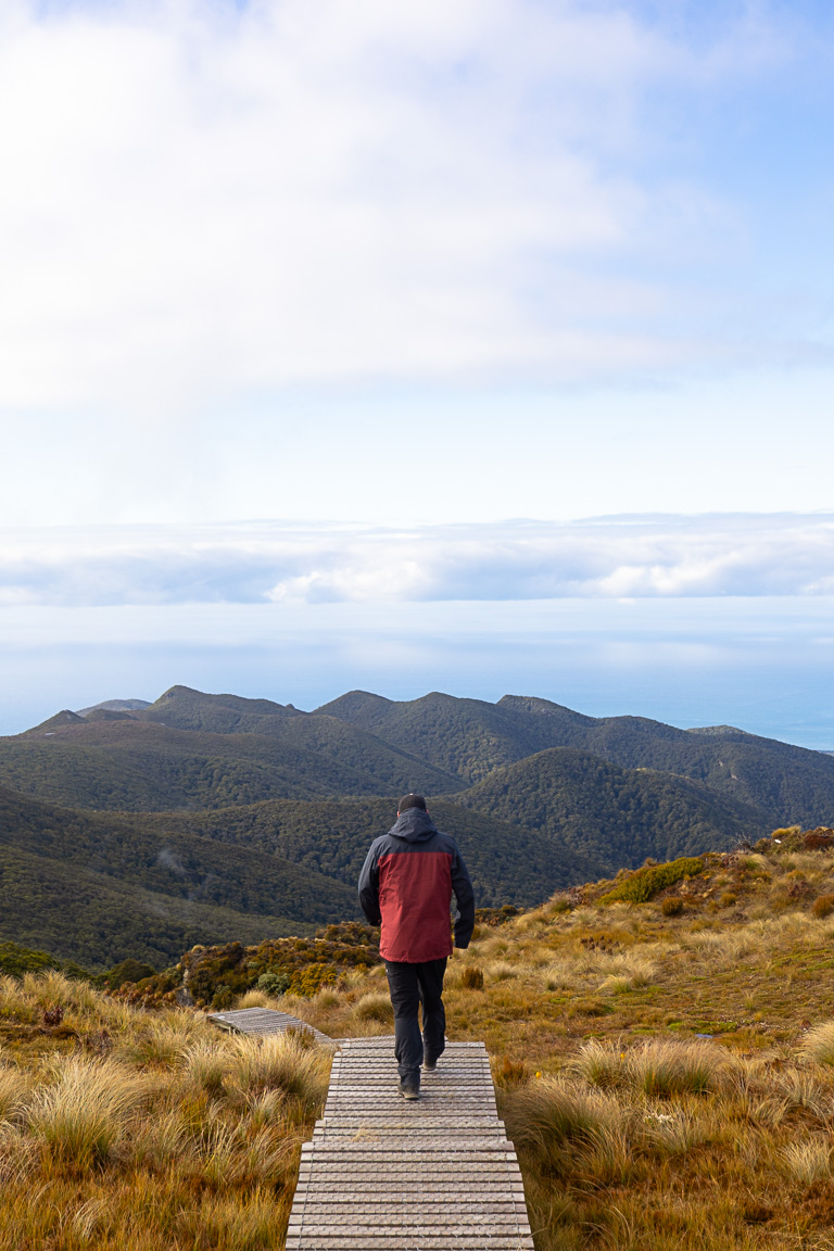 Hiking the Hump Ridge Track: Everything You Need to Know - I AM CASEY LEE