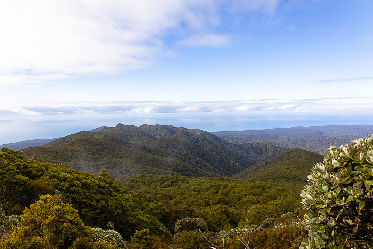Hiking the Hump Ridge Track: Everything You Need to Know - I AM CASEY LEE