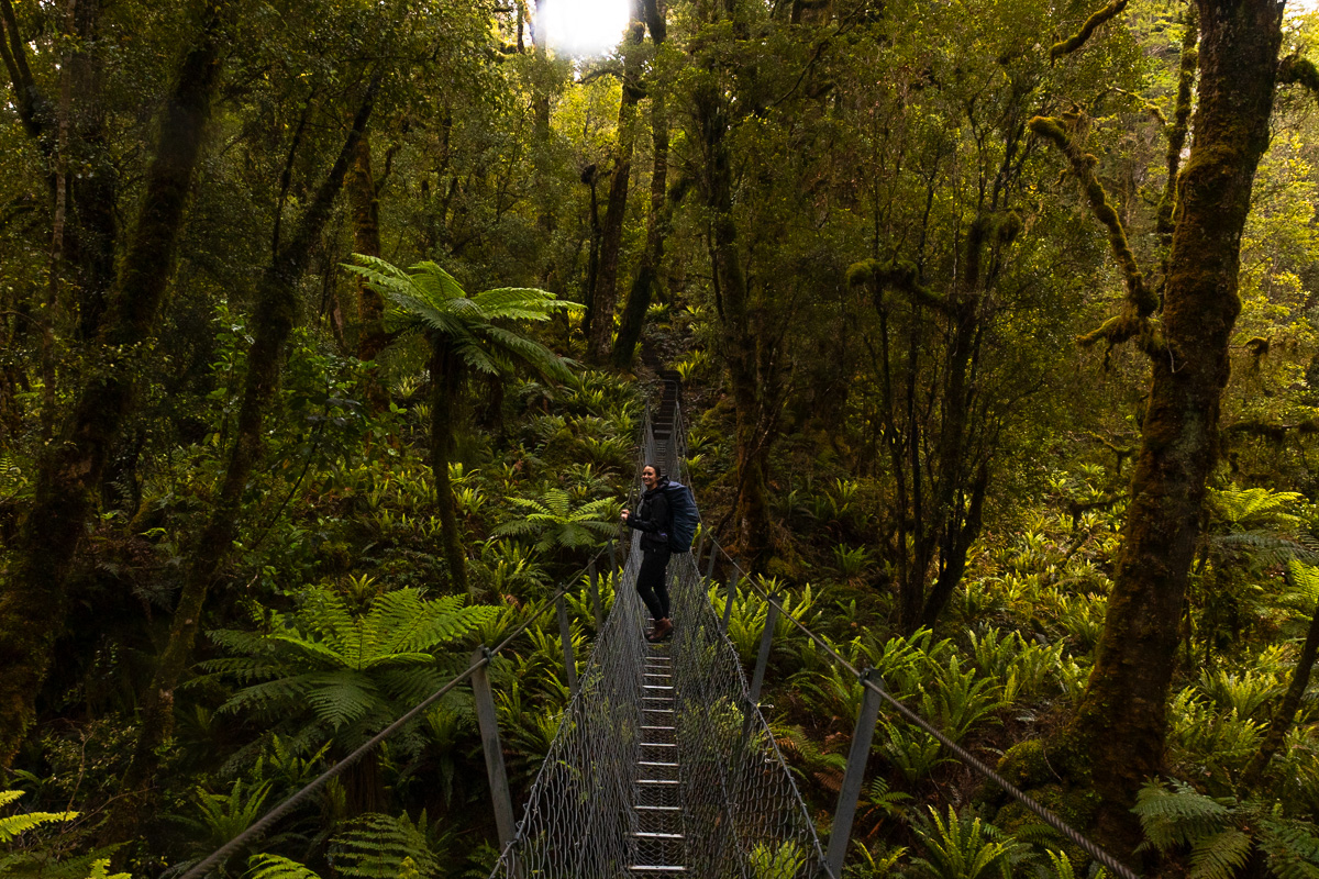 What to Pack for the Hump Ridge Track: NZ’s 11th Great Walk - I AM ...