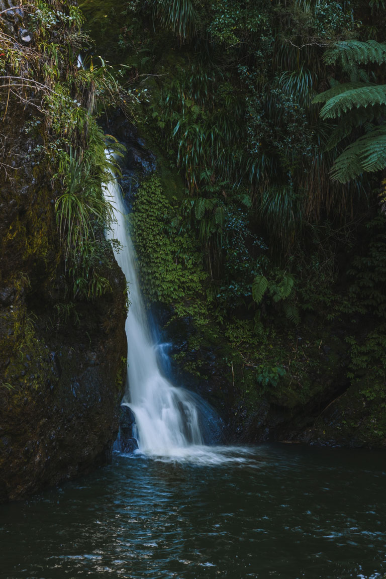 Hiking Karamatura to Mount Donald McLean: One of Auckland’s Best-Kept ...