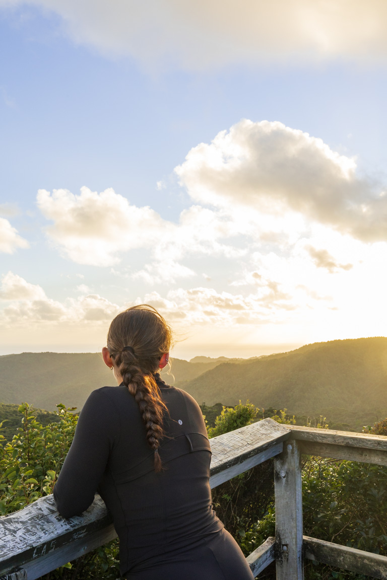 Hiking Karamatura to Mount Donald McLean: One of Auckland’s Best-Kept ...