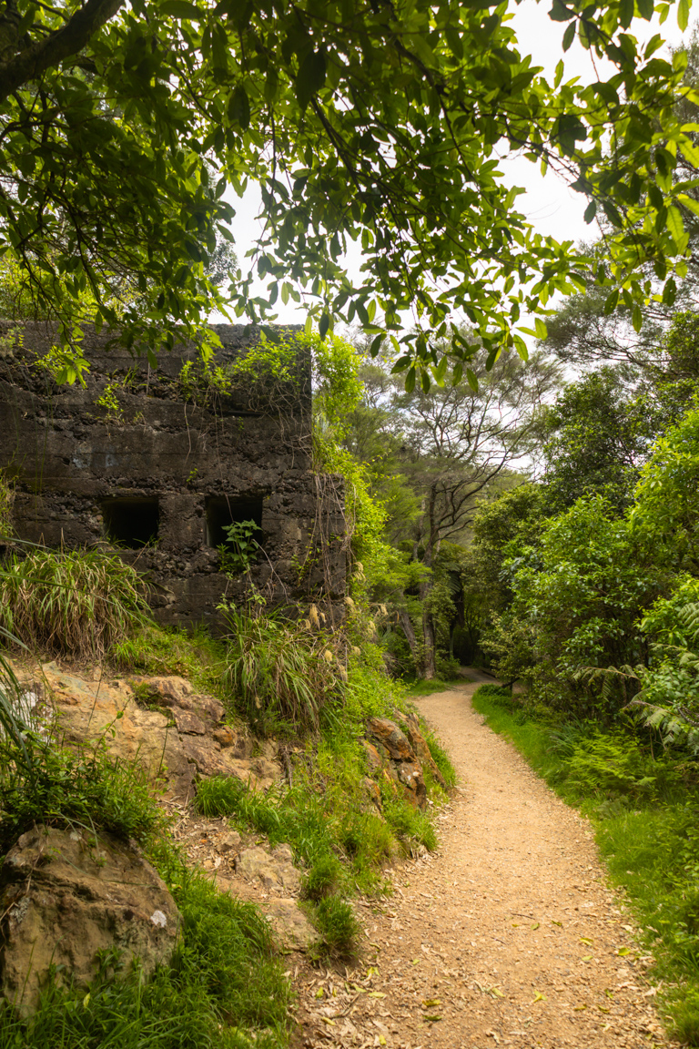 Hiking the Historic Karangahake Gorge Loop: A Complete Guide - I AM ...