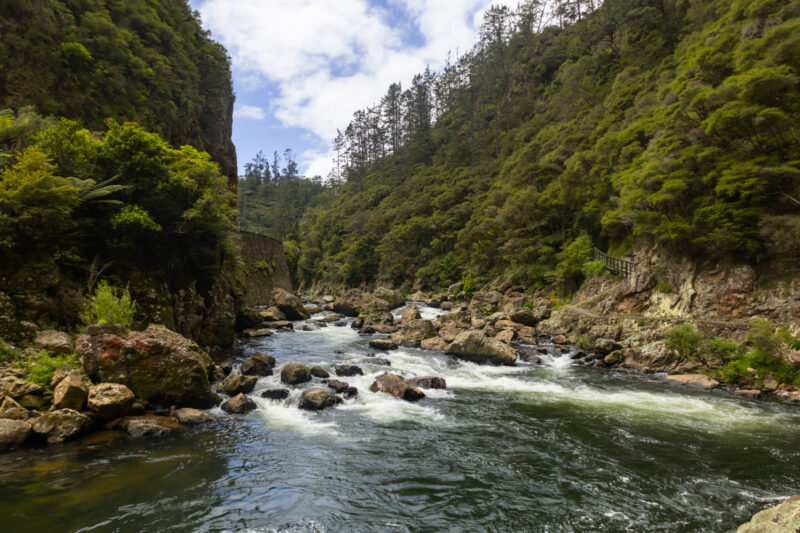 Hiking the Historic Karangahake Gorge Loop: A Complete Guide - I AM ...