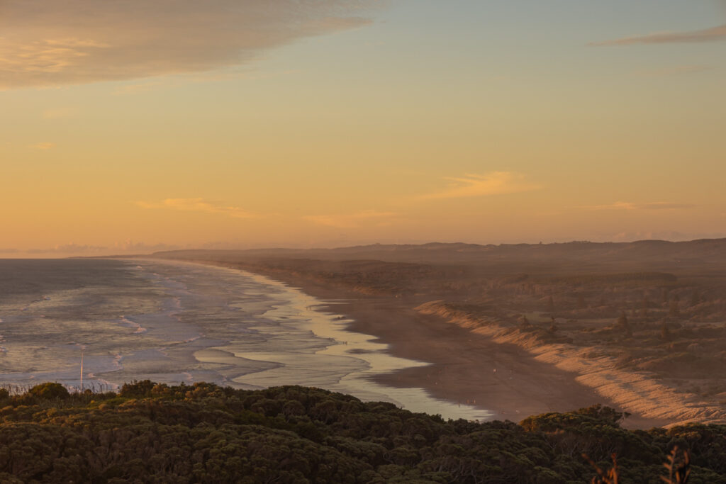 Explore the 6 Best Black Sand Beaches in Auckland: A Guide - I AM CASEY LEE