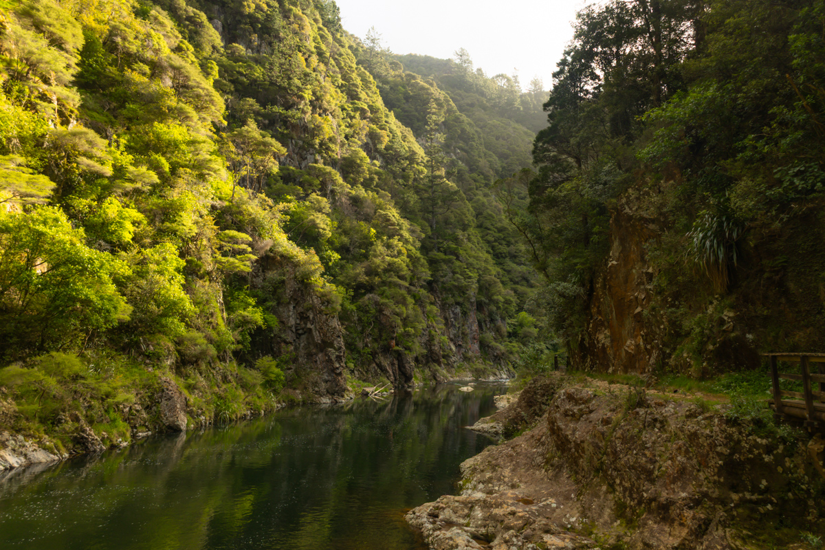 Hiking the Historic Karangahake Gorge Loop: A Complete Guide - I AM ...