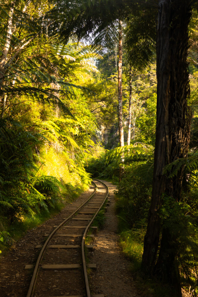 Hiking the Historic Karangahake Gorge Loop: A Complete Guide - I AM ...