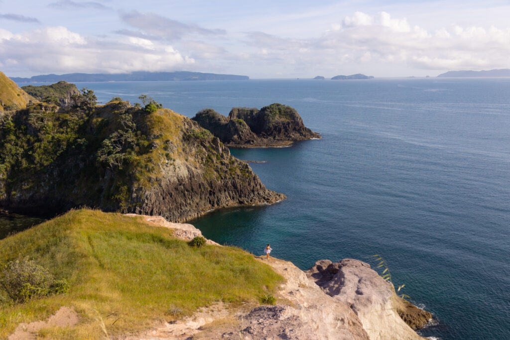 Crayfish Bay: A Hidden Gem in the Coromandel - I AM CASEY LEE