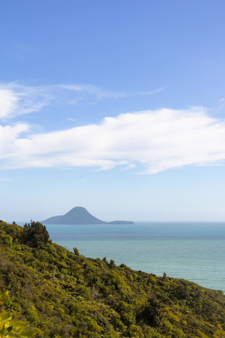 Kohi Point Walkway: The Ultimate Guide to Whakatāne’s Coastal Gem - I ...