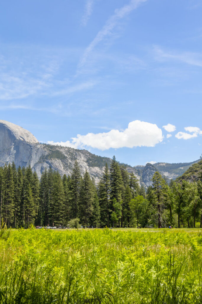 YOSEMITE TRAVEL GUIDE FOR FIRST TIMERS: ESSENTIAL TIPS AND HIGHLIGHTS ...